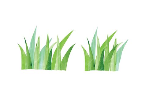 Green Grass Drawing