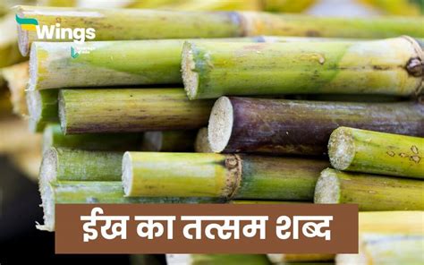 Ikh Ka Tatsam Shabd ईख का तत्सम शब्द क्या होता है
