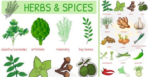 Spices And Herbs List