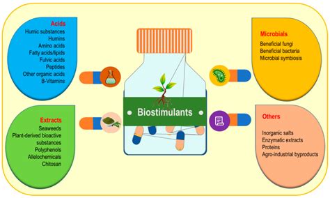 Biostimulants Revolutionizing Agriculture For Enhanced Crop