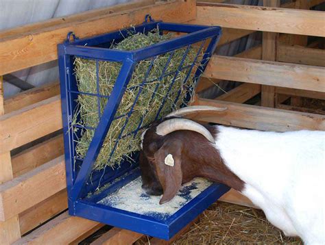 What Equipment Do You Need For Goats At Donald Eloise Blog