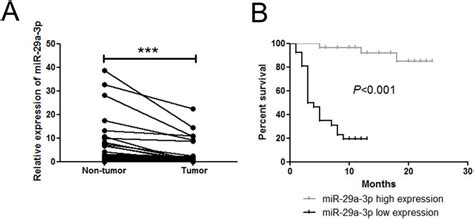 Mir 29a 3p Expression Level In 62 Patient Samples A Qrt Pcr Analysis