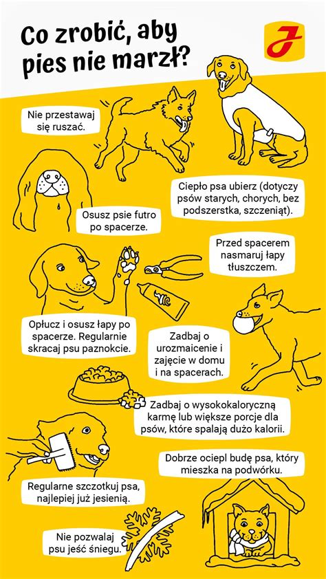 Do jakiej temperatury można trzymać psa na dworze Fundacja dla