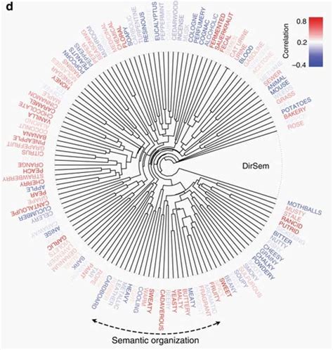 Artificial Intelligence Used For Describing Smells Ibm Research