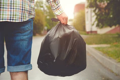 How To Get Rid Of Maggots Step By Step Mymove