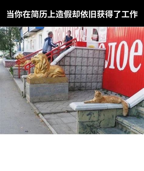 What Can I Say 网友制作的meme梗图
