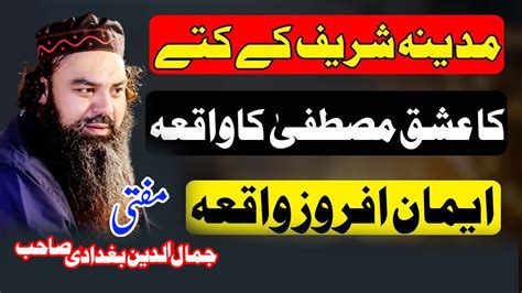 Mufti Jamaluddin Baghdadi New Bayan 2022 Shan E Mola Ali Best