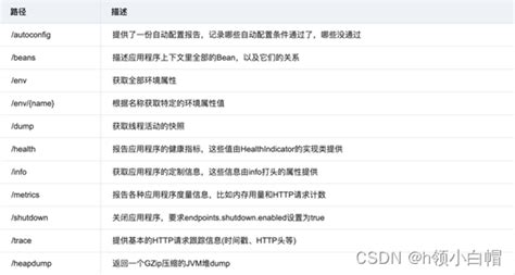 Spring Boot Actuator详解与漏洞利用springboot Actuator 漏洞 Csdn博客