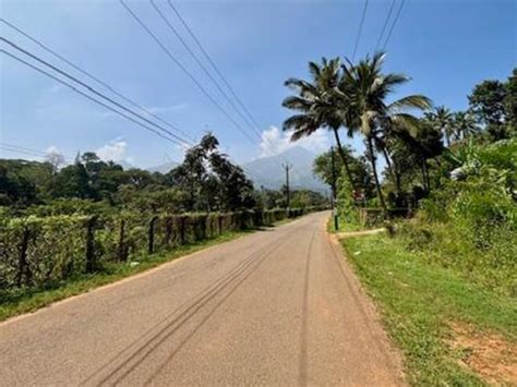 Relaxing Weekend In Wayanad Travel Route From Bangalore Stay And More