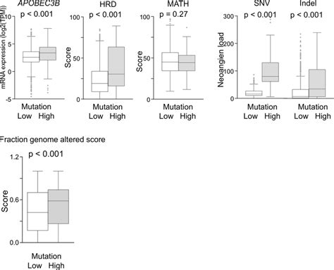 Tumors With High Mutation Rates Were Derived From Not Only Apobec3b P