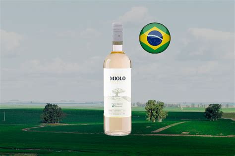 Miolo Seleção Pinot Grigio Riesling 2018 Vinho branco brasileiro