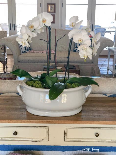 Diy Orchid Centerpiece In An Ironstone Bowl Petite Haus
