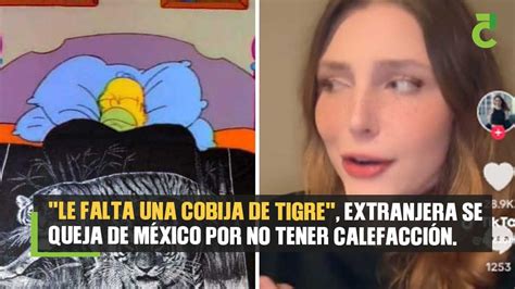 le falta una cobija de tigre extranjera se queja de México por no