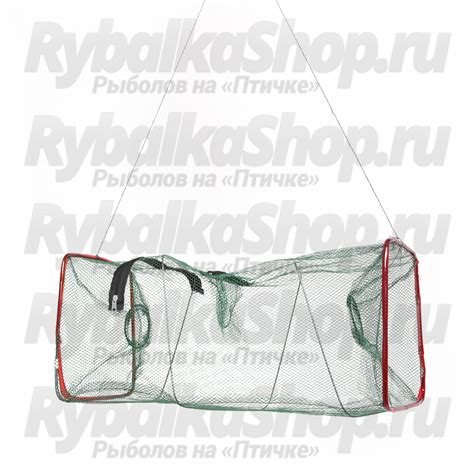 Раколовка Salmo 60х50х23см