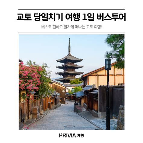 [교토 자유 여행] 일본 교토 당일치기 여행 추천 오사카 출발 교토 버스투어 코스 예약 총정리 네이버 블로그