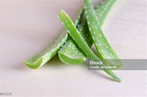 알로에 베라 고립 목재 보드 배경기술 0명에 대한 스톡 사진 및 기타 이미지 0명 가시 녹색 Istock