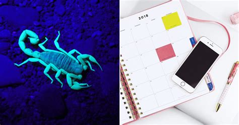 Signo de Escorpião no trabalho como é o lado profissional dos