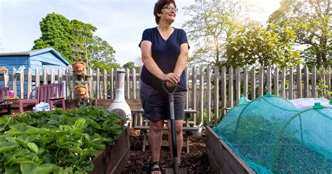 11 Plants That Naturally Repel Pests Huffpost Uk Life