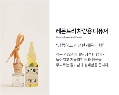 에이디스 프리미엄 차량용 카 디퓨저 방향제 3종 레몬 민트 편백