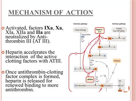 Anticoagulants Pptx