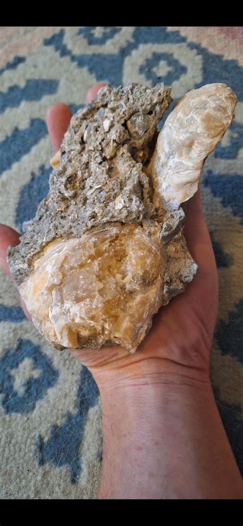 I Wanted To Show Off My Rucks Pit Fossilized Clam And Calcite