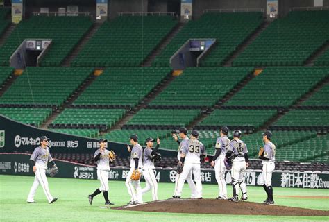 ＜ソ・神＞試合を終えてハイタッチをかわす阪神ナイン（撮影・大森 寛明） スポニチ Sponichi Annex 野球