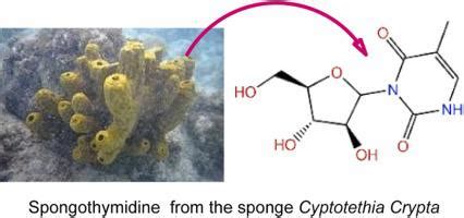 探索海洋天然产物在药物开发中的潜力全面综述 Phytochemistry Letters X MOL