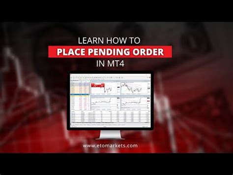 Eto Markets Mt Tutorials How To Place Pending Order Eto Markets Artofit