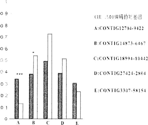 A Method For Target Gene Prediction In MicroRNA Coding Region Eureka