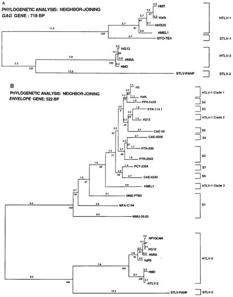 Phylogenetic Analyses Of Nine Gag Sequences And 21 Env Sequences Using Download Scientific