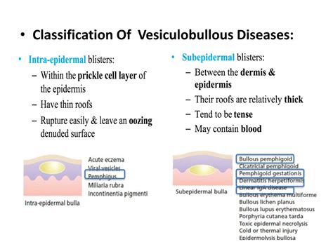 Ppt Autoimmune Bullous Diseases Powerpoint Presentation Free