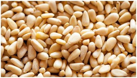 Кедровые орехи польза