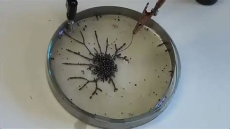 Julia Wald Posted On Linkedin