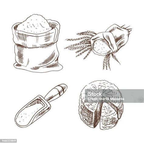 手描きの製品スケッチセット小麦粉の袋小穂ひしゃくチーズの頭ベクターイラスト白黒のビンテージ図面 いたずら書きのベクターアート素材や画像を