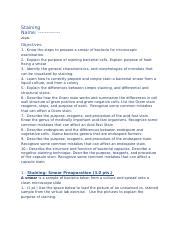 Lab Report Staining Docx Staining Name 20 Pts Objectives 1 Know The Steps To Prepare A
