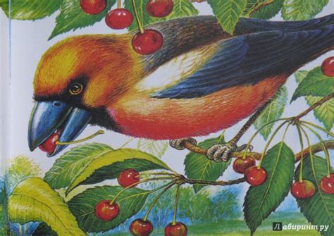 Книга Сказки лесной опушки Бианки Сладков Пришвин Купить книгу читать рецензии Лабиринт