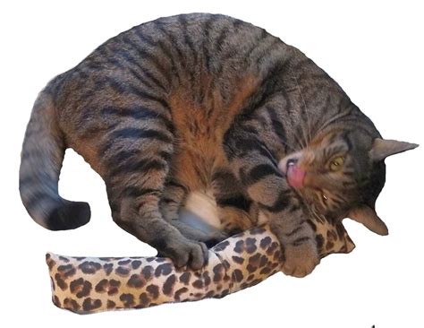 Refillable 15 Canvas Catnip Cat Kicker Toys Kitty Kick Sticks Cat Nip Bunny Pillow