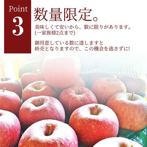 訳あり 】 りんご 10kg 山形県産 サンつがる 早生ふじ サンふじ 産地直送りんご お徳用 林檎 家族みんなで サイズの通販はau