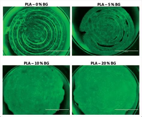 A New 3d Printed Polylactic Acid Bioglass Composite For Bone Tissue