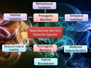 Origin Of Species Pptx