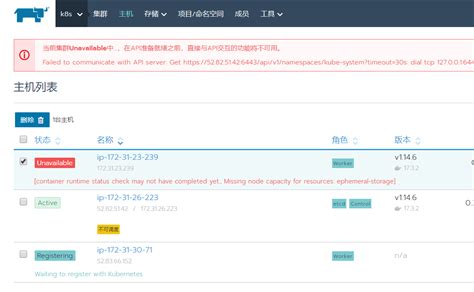 Extra Node Gets Created Which Is Stuck In Registering State When Cluster Has Provider Set To