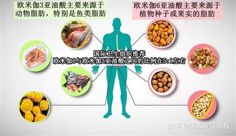 维兰尼乐趣饮食科普欧米伽6和欧米伽3的功效和作用 知乎