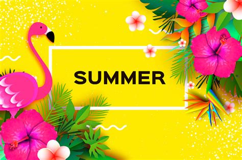 플라밍고와 핑크 히 비 스커 스 꽃 열 대 여름 종이 컷 아트에서 야자수 잎 식물 프랑 지 파 니플 루 메리 아 새의 낙원 사각형 프레임입니다 텍스트 종이 접기 정글 봄