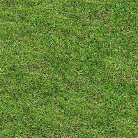 Download Texture Seamless Texture Of Grass For 3d Max Number 12087 At