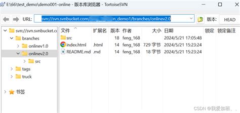 svn创建分支，分支合并，切换分支。通俗易懂 csdn博客