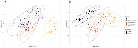 Factors Shaping The Gut Microbiome Of Five Species Of Lizards From