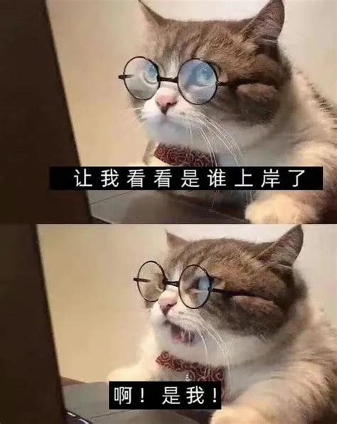 关于学习的表情包 知乎