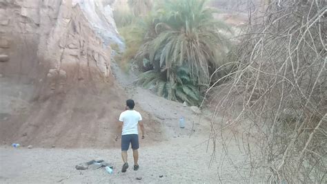 وادى قنى في دهب Youtube