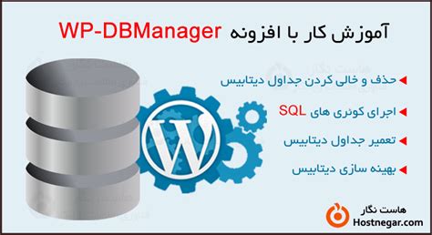 آموزش کار با افزونه WP DBManager هاست