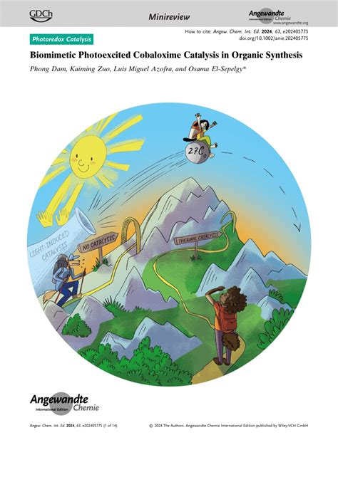 Pdf Biomimetic Photoexcited Cobaloxime Catalysis In Organic Synthesis